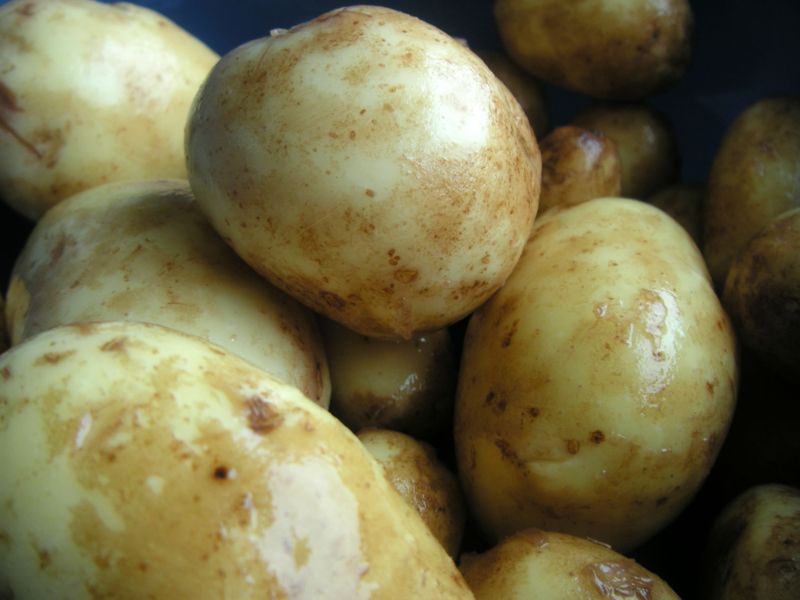 Herkkusuun lautasella Ruokablogi: Rydbergin pihvi