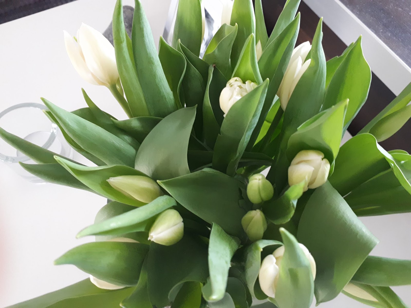 Hip en Kleurig: Witte tulpen