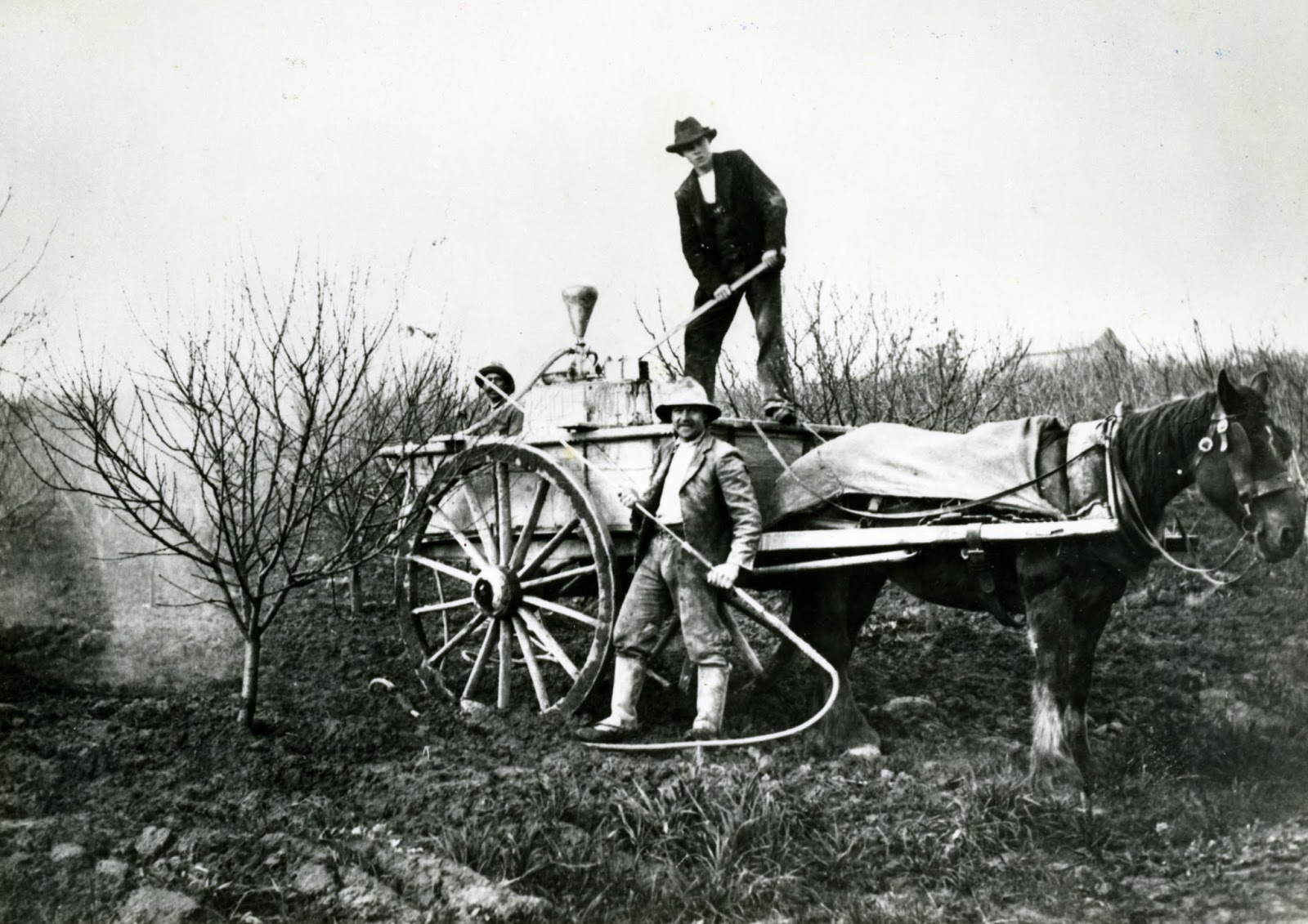 Doncaster Templestowe Historical Society: Orchard Spraying