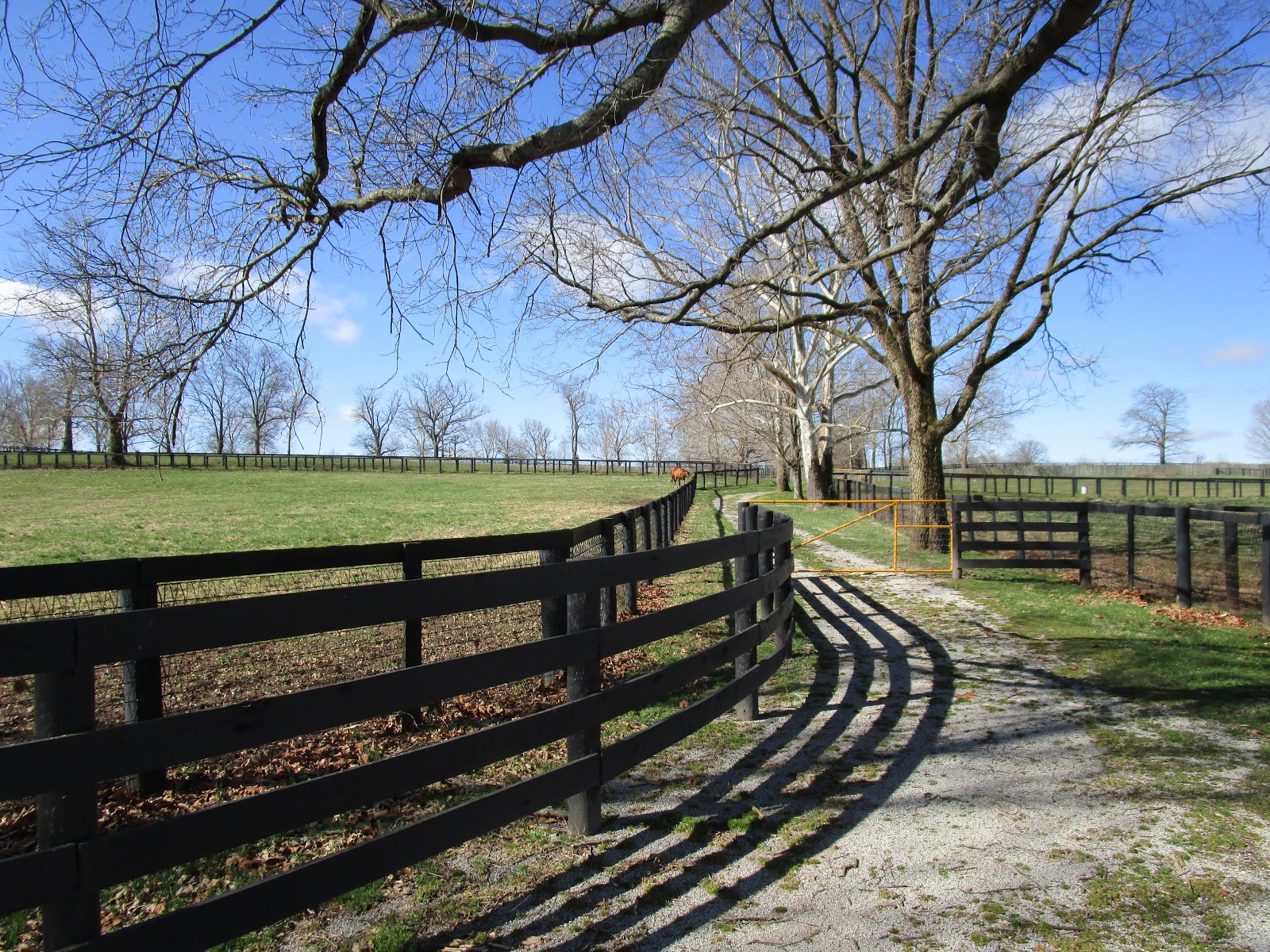 Spretnak The Blog: Claiborne Farm and Secretariat's Grave