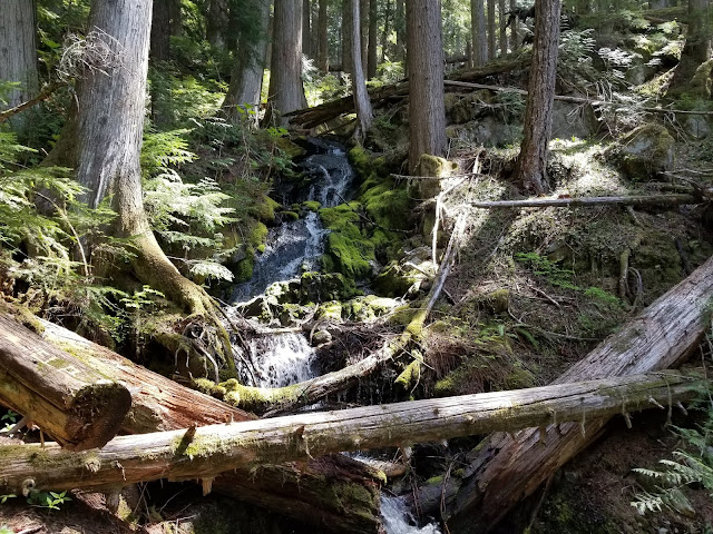 Take a Hike: Ruby Mountain, North Cascades National Park, WA