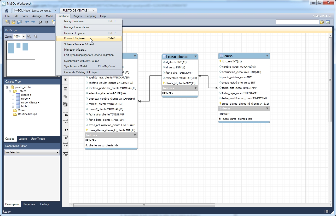 DESENLACE VIRTUAL: MySQL Workbench-forward engineer