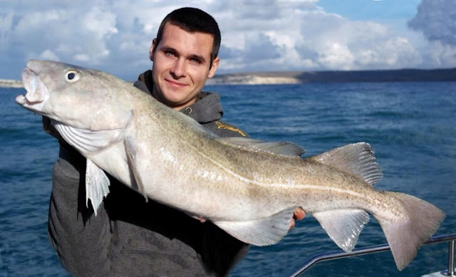 Noble's Fishing - Hints & Tips: Cod Fishing Bait Tips