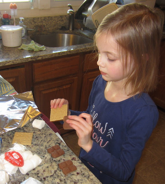 Zombie Parent's Guide: Foil Smores