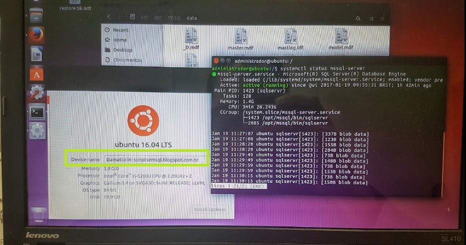 SCRIPTS EM SQL: SQL Server runing on #Linux today ...