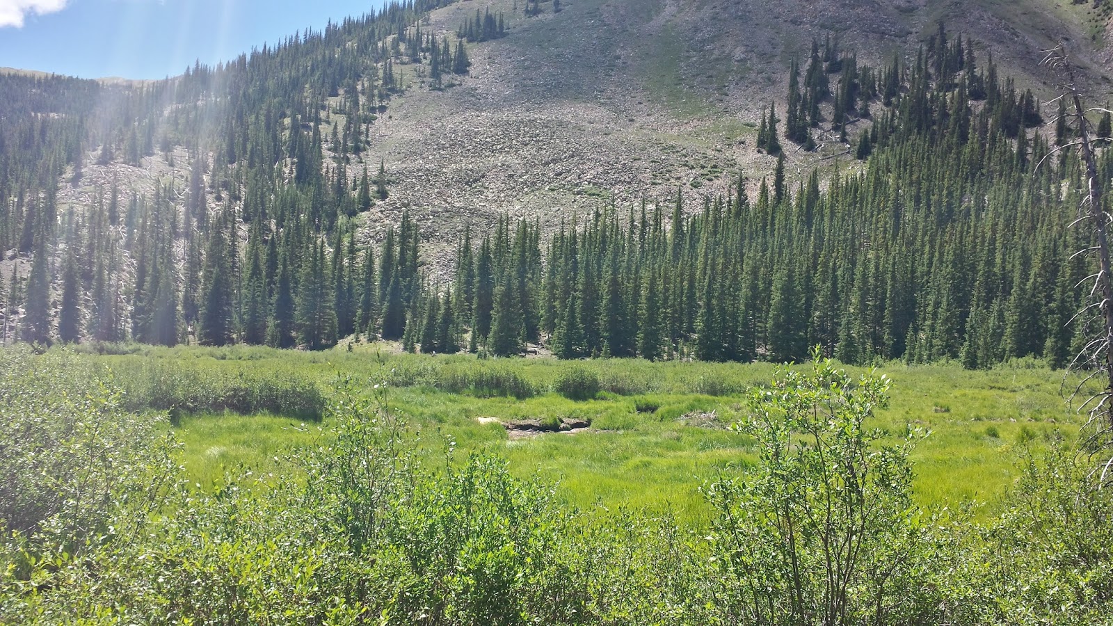 Wilderness Wanderings: Silver Creek-Colorado Trail