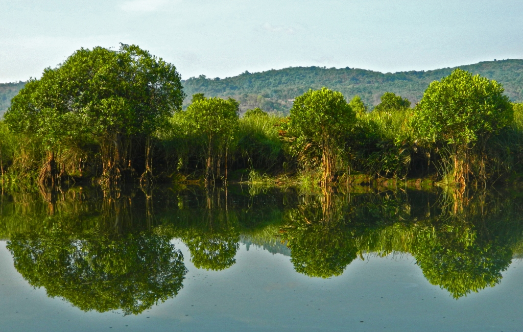 Crocodile safari at Maldoli backwater,Maharashtra,India | Travel life ...