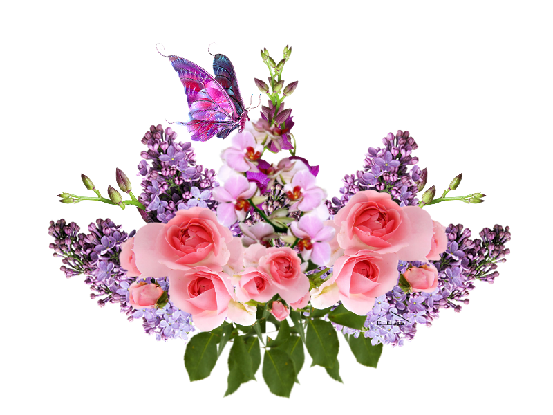 Emilieta Psp: Tubes Florales en PNG