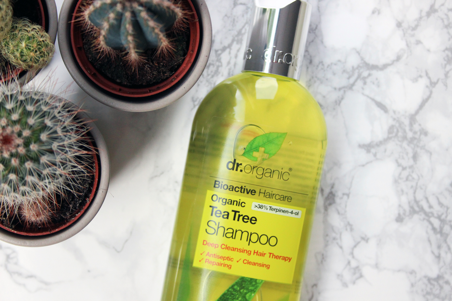Dr. Organic | Tea Tree Shampoo | A Beauty To Rock