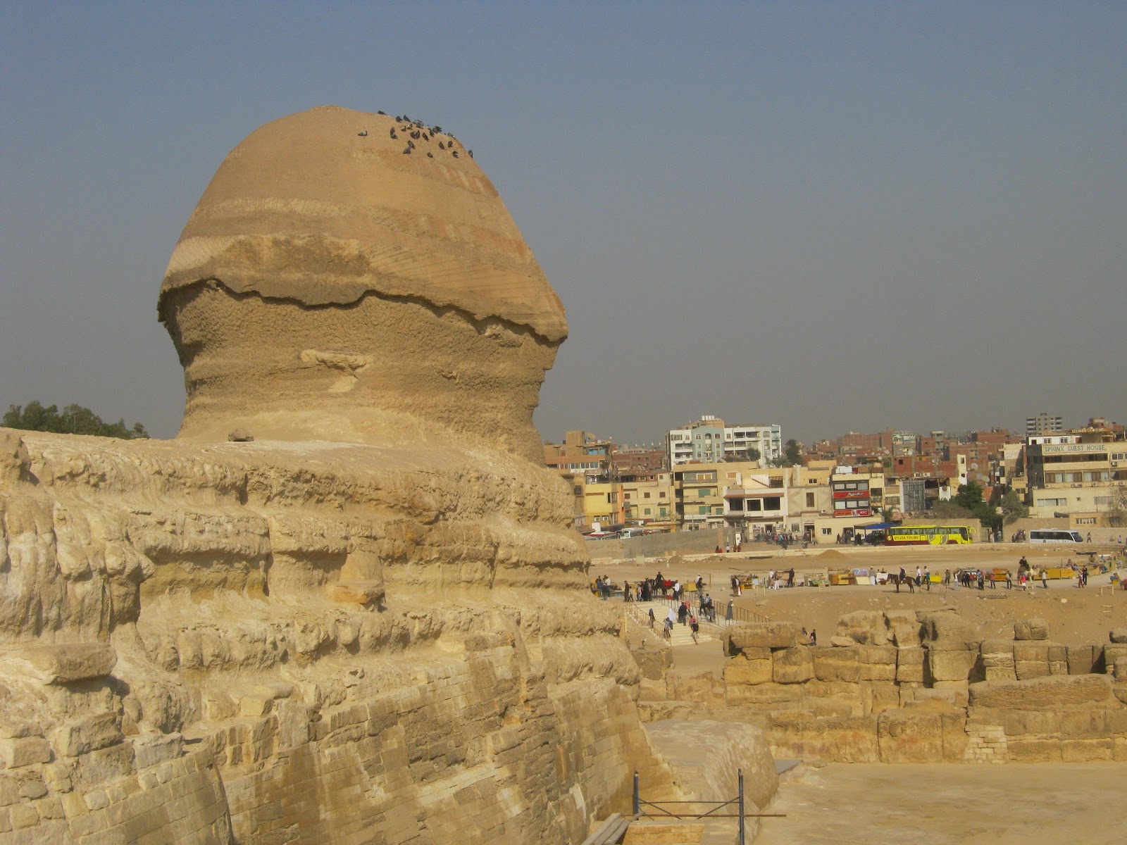 Adventures in Greece: Egypt Day 6: Citadel, Cairo Museum, Pyramids at Giza