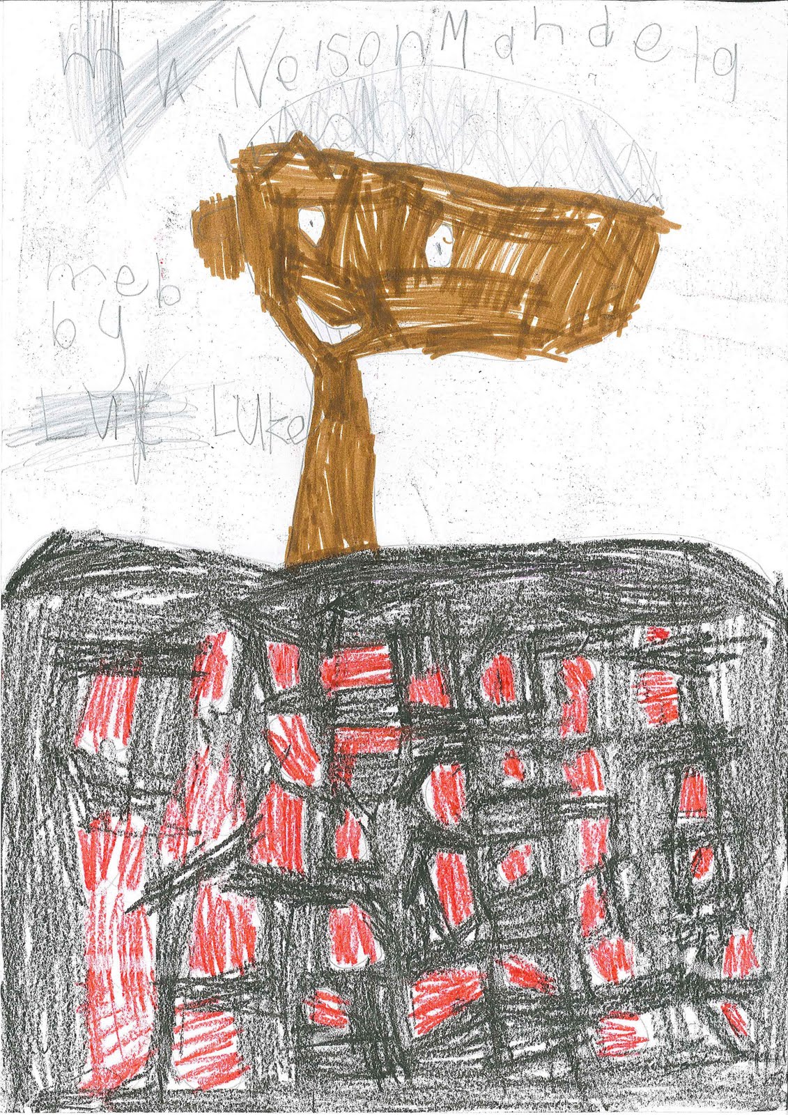 The Blurred Line: Of llamas and lamas