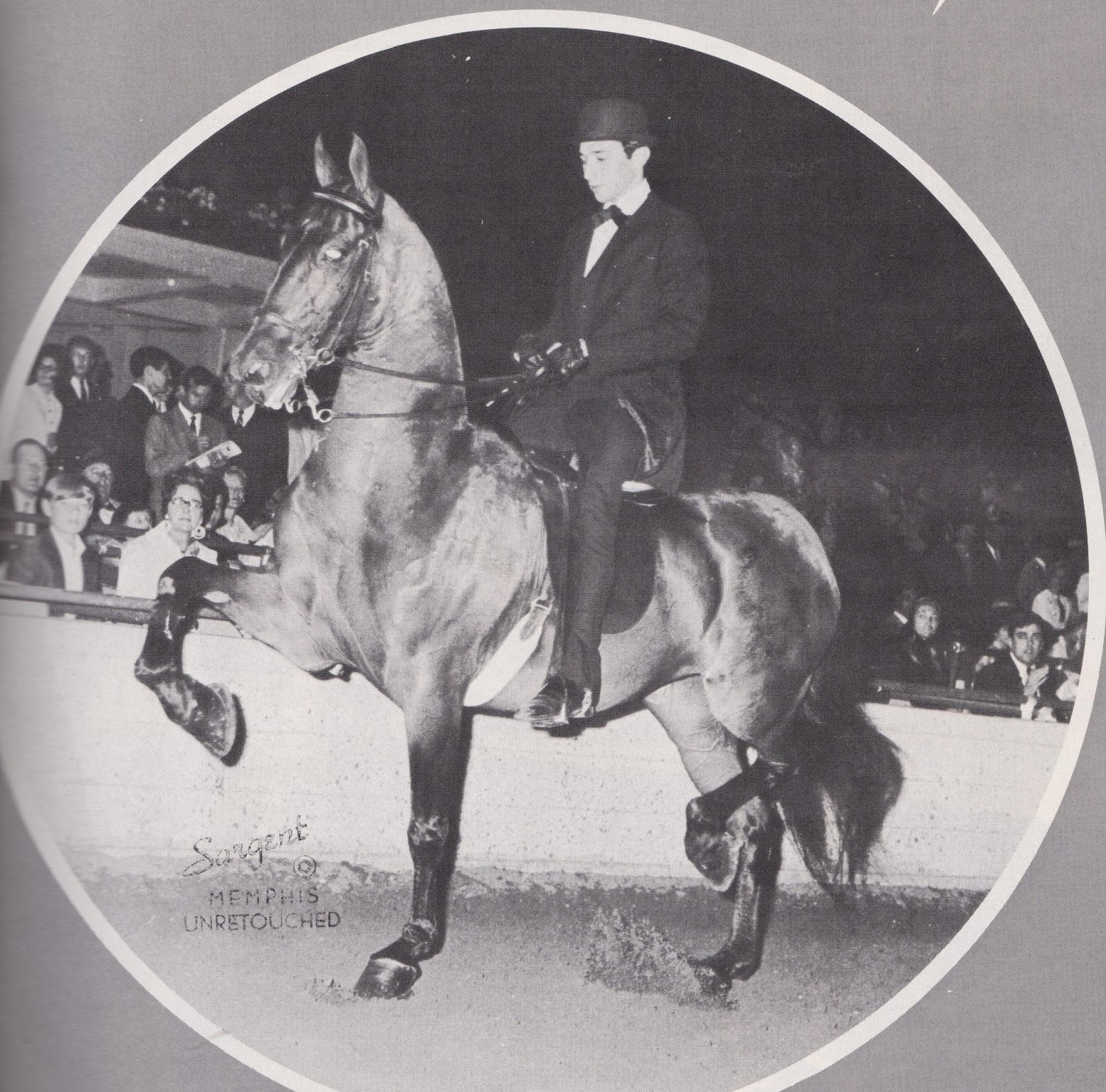The American Saddlebred: 8/12/17 1967 A snapshot from half a century ...