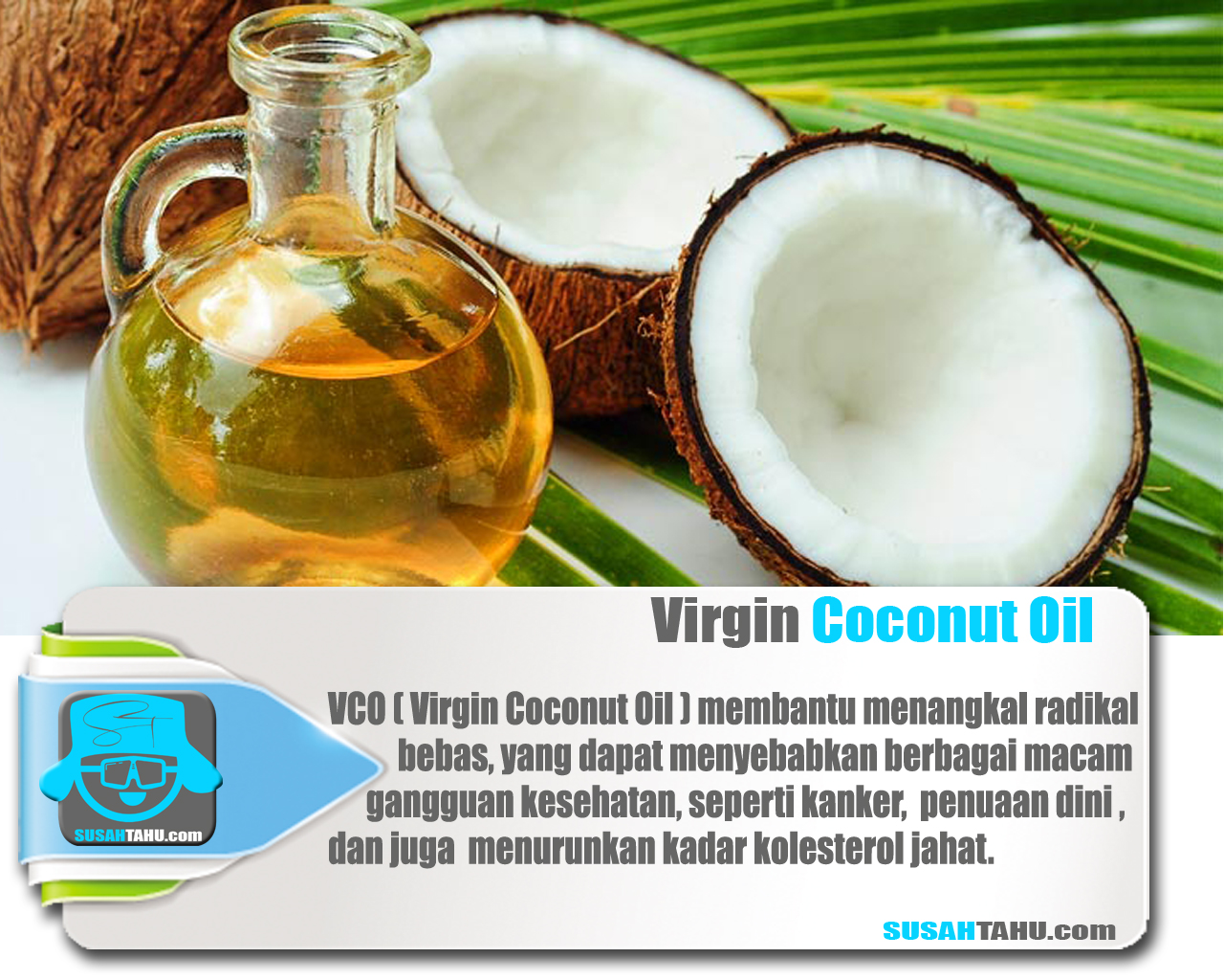 12 Manfaat Virgin Coconut Oil (VCO) | SusahTahu.com