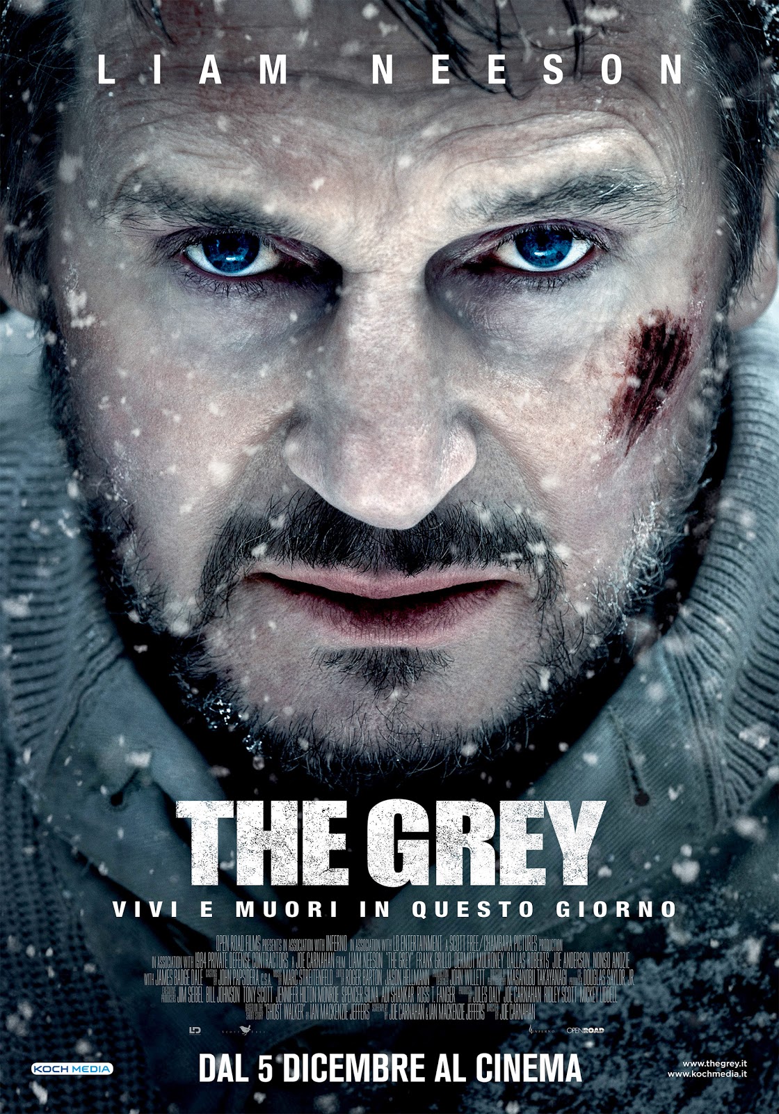 The Grey, dal 5 dicembre al cinema