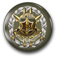 Israel Defense Forces,logo,badges and wallpaper 3D-HD: IDF badge button ...
