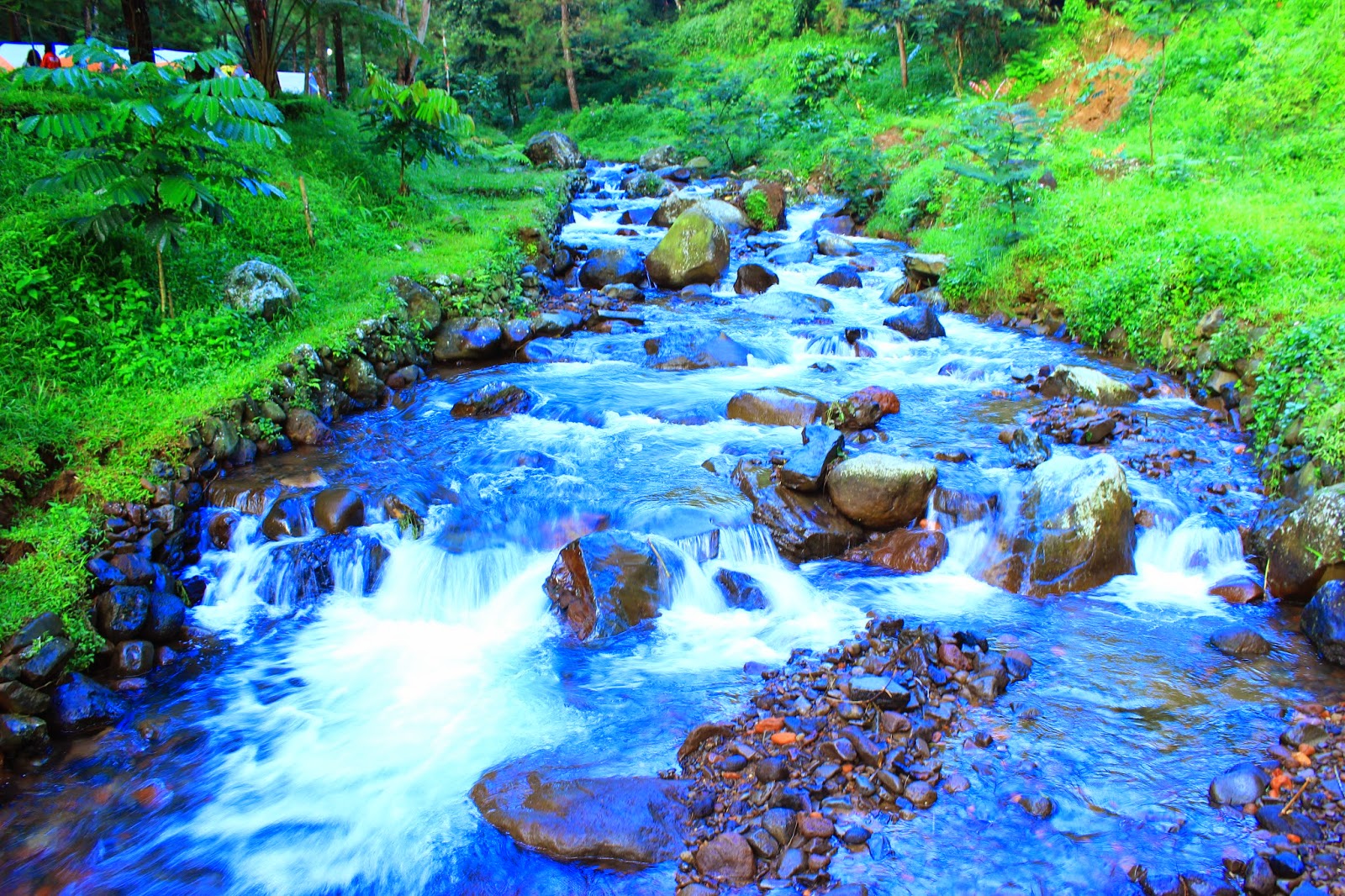 Capolaga Adventure Camp Landscape