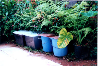 Backyard Gardening: Composting with Rabbit Manure