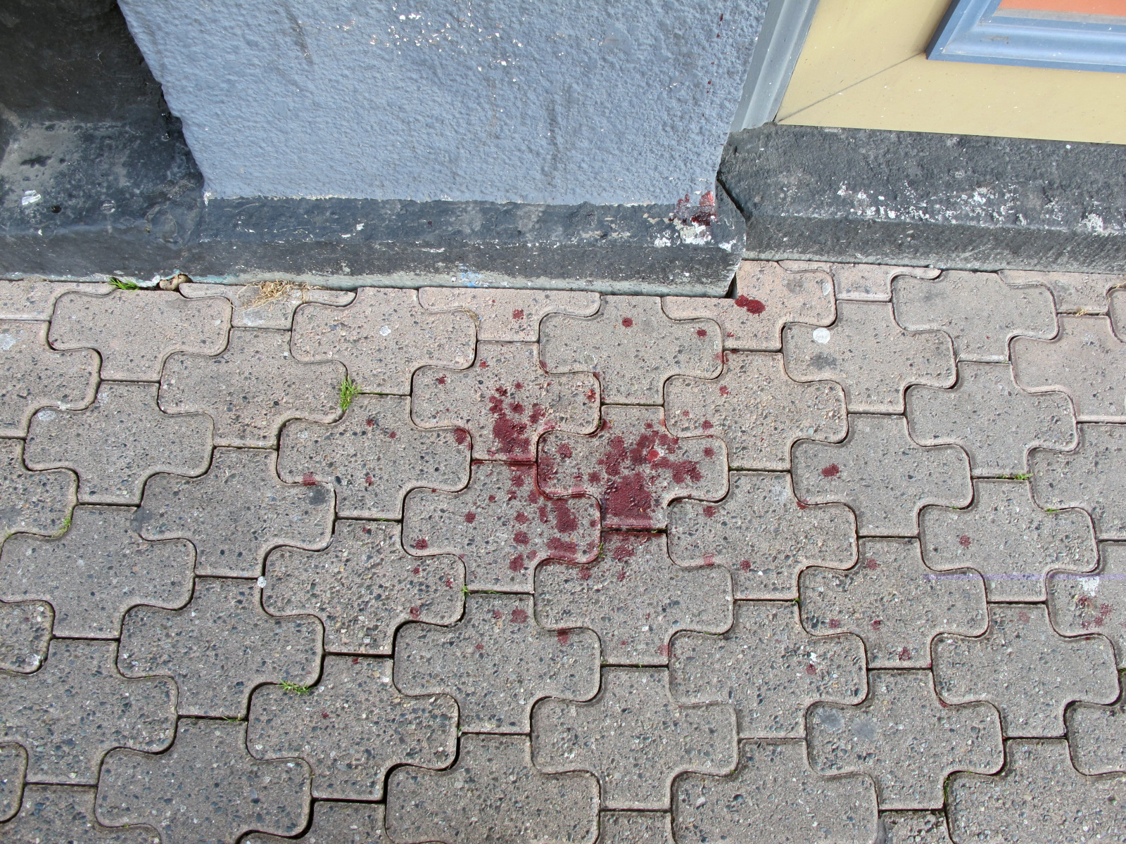 four-eyes rella: eagle sock, blood on the sidewalk, coffee and a day ...