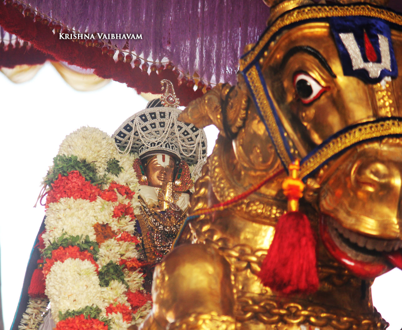 Krishna Vaibhavam: 06 Kuthirai Vahanam - Vellai Sattupadi Udaiyavar ...