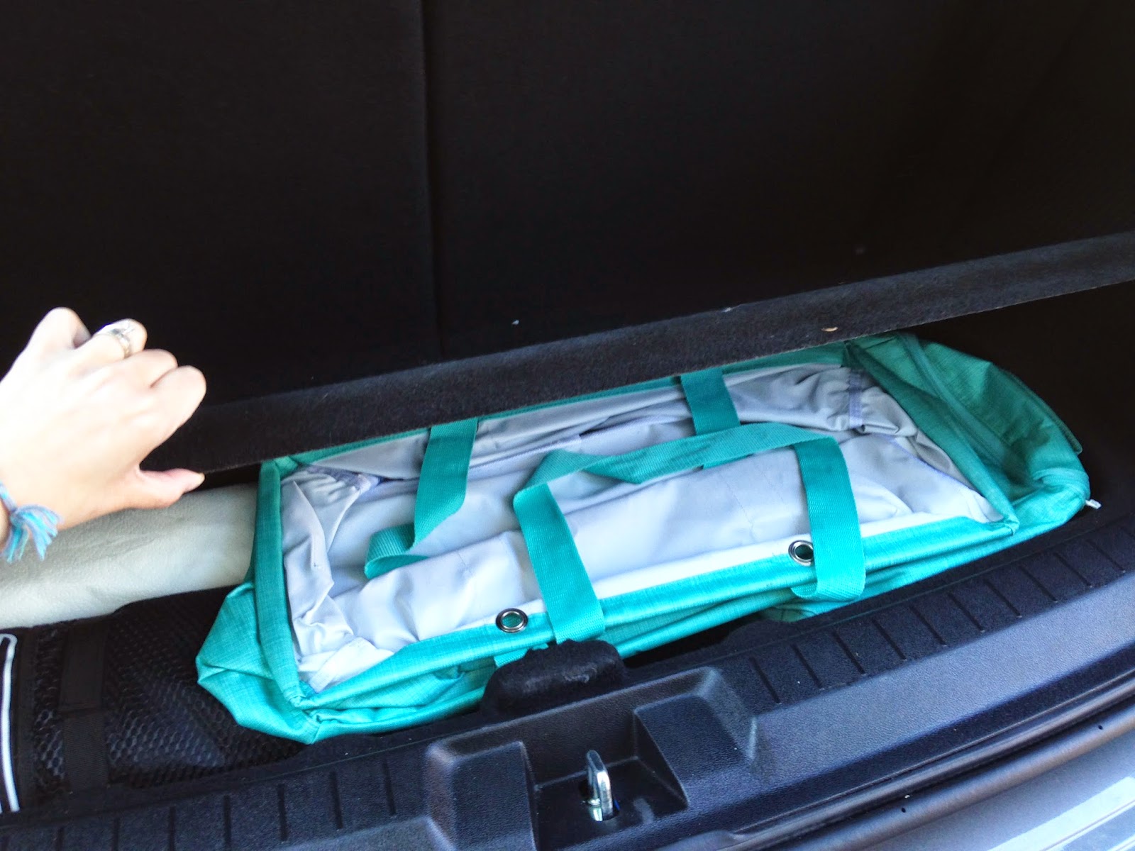 Seriously, Sabrina?: Car Organization and Shopping with {MY FAVORITE ...