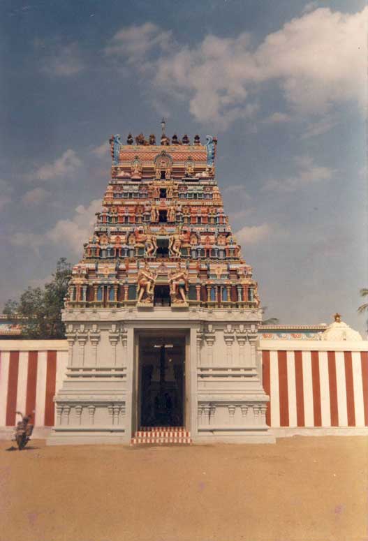 Rajapalayam: March 2016