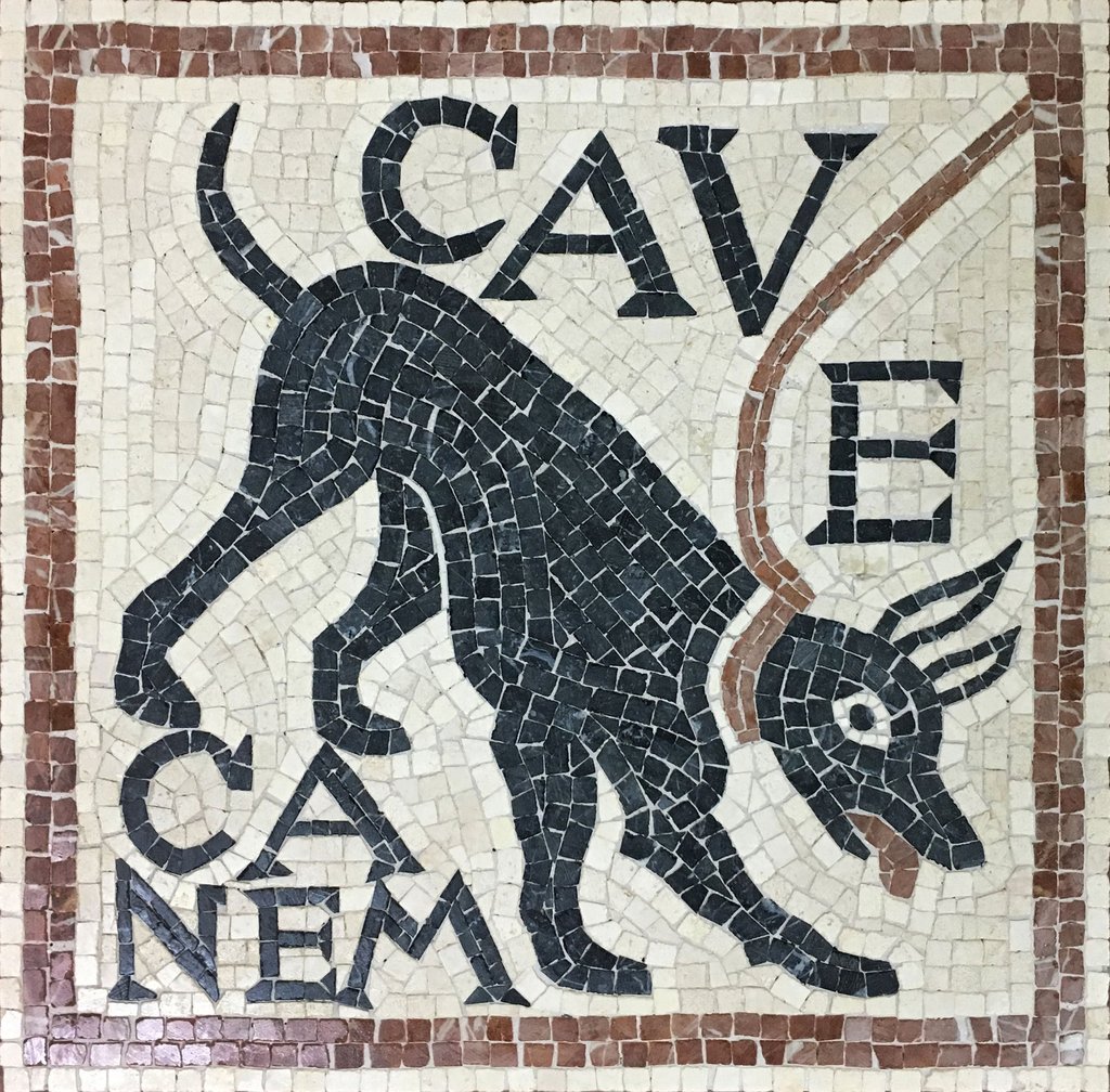 Glosario de Términos Latinos: Cave Canem