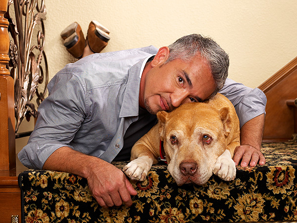 Crazy Days and Nights: Cesar Millan Says He Attempted Suicide