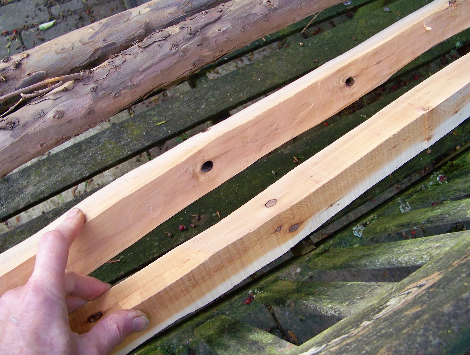 Bowyer's Diary: Winter's Yew Review