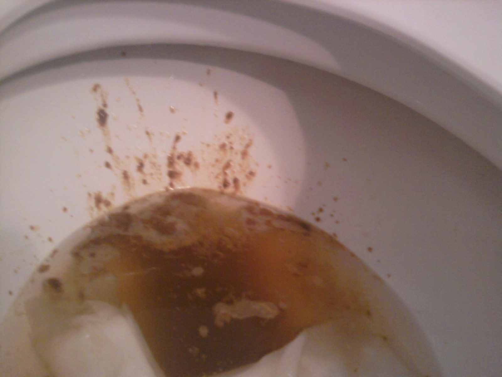 Projectile poop - tewsglobal