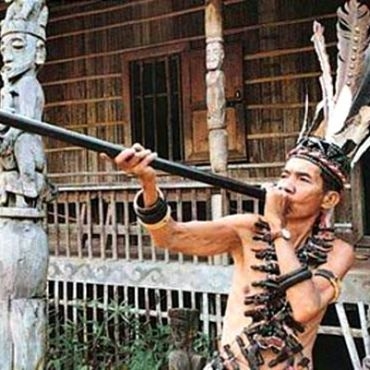 Sumpit Traditional weapon of Kalimantan | Borneo Island