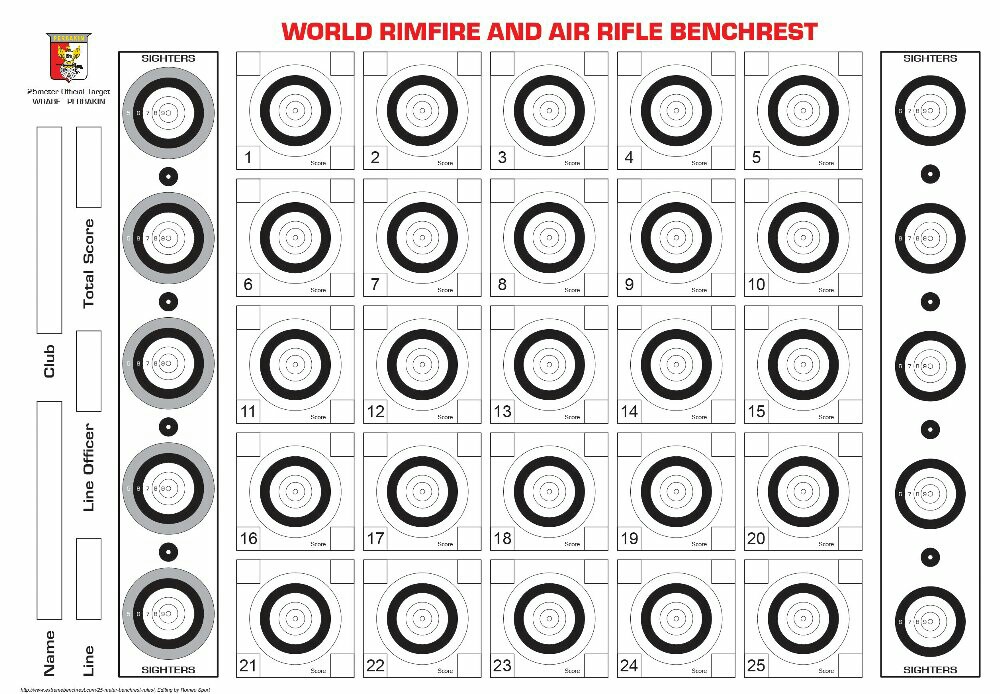 5 Senapan Angin PCP Lokal Terbaik yang Digunakan Untuk Kompetisi Pada ...