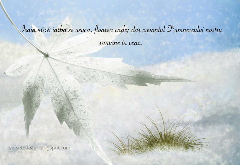 Versete de Aur : Cuvântul Dumnezeului nostru