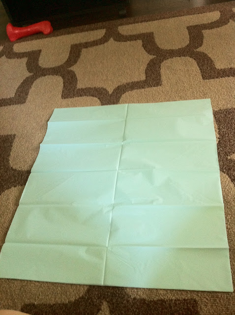 MidSouth Stagers: DIY Tissue Paper Puffs