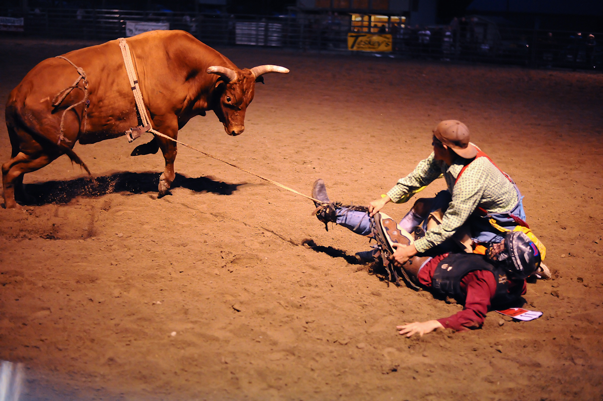 Learn Sports Photography: How to Photograph Rodeo and Horse Shows ...