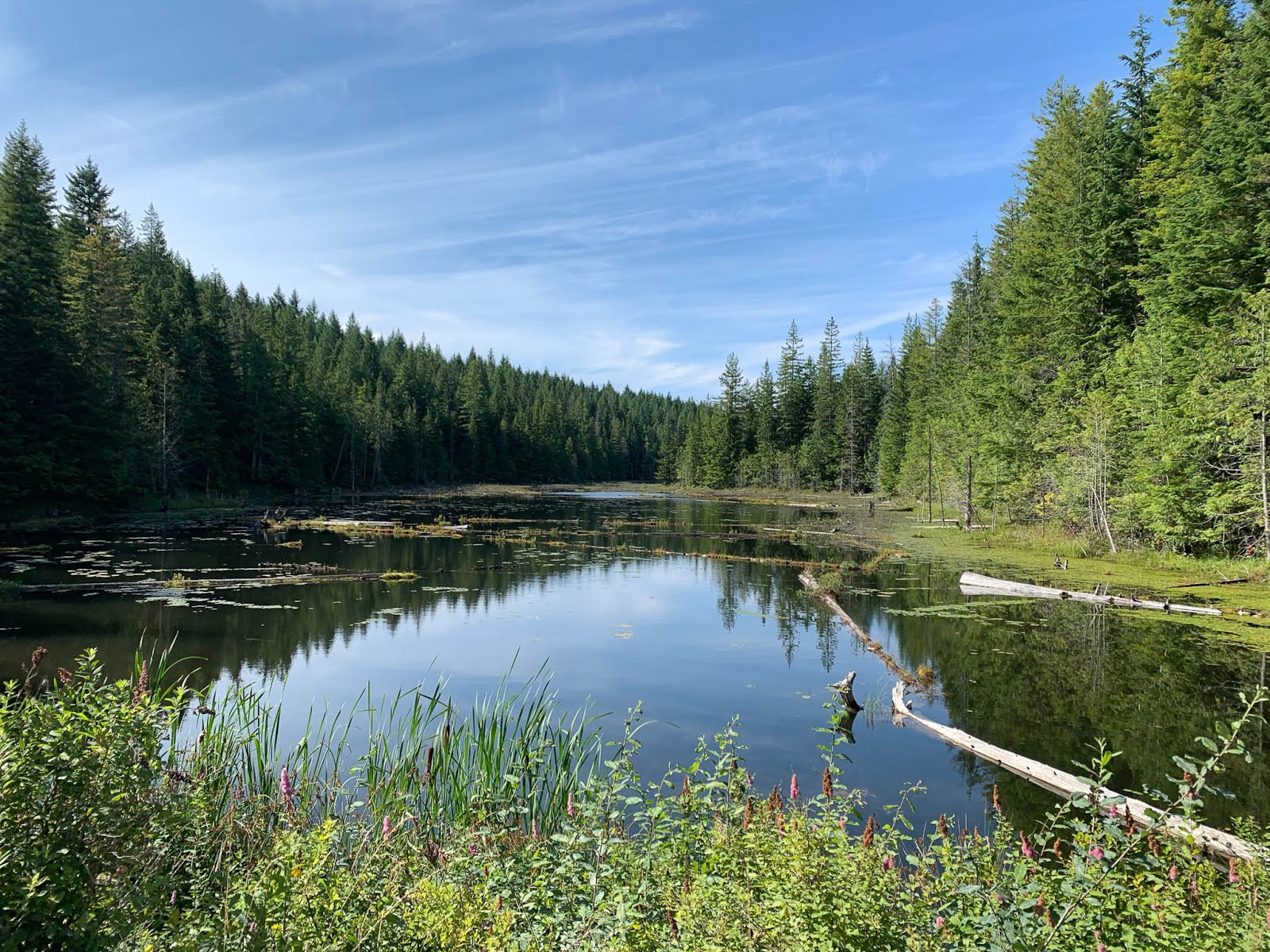 Sayward Forest Canoe Route Vancouver Island Canada - First Church of ...