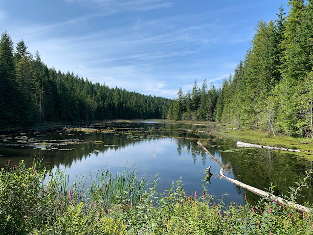 Sayward Forest Canoe Route Vancouver Island Canada - First Church of ...