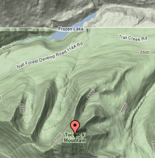 Tall Pines Hiker: Tuchuck Mountain