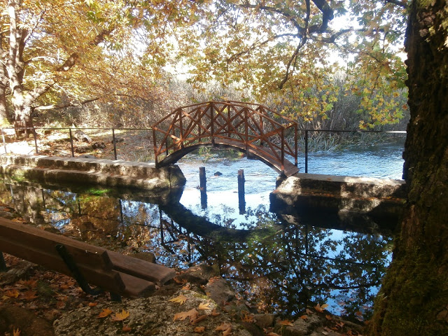 Πολύδροσος Παρνασσού: "ΤΑ ΠΑΡΑΠΟΝΑ ΣΟΥ ΣΤΟ ΔΗΜΑΡΧΟ".... ΓΙΑ ΤΙΣ ΠΗΓΕΣ ...