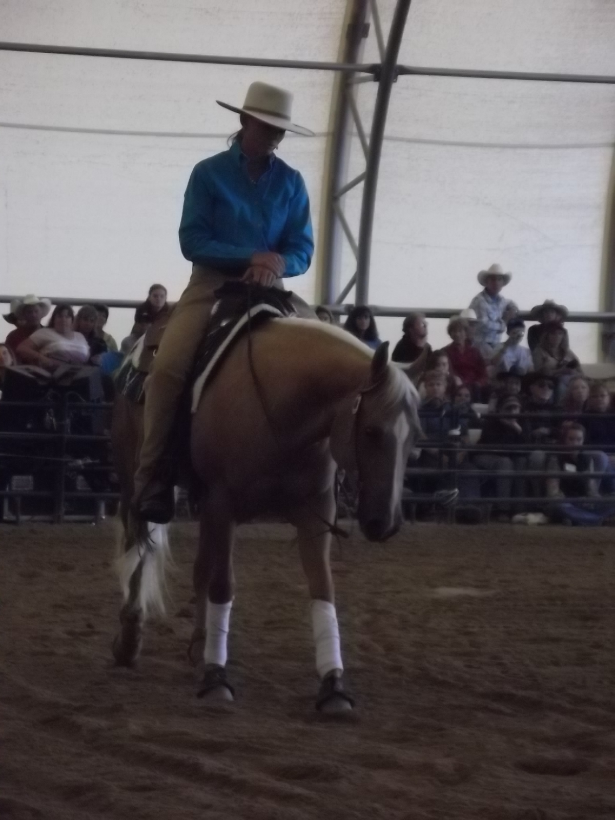 HOOFPRINTS OF KASPIN: Parelli Summit Day 3!! Sad to see it end:)