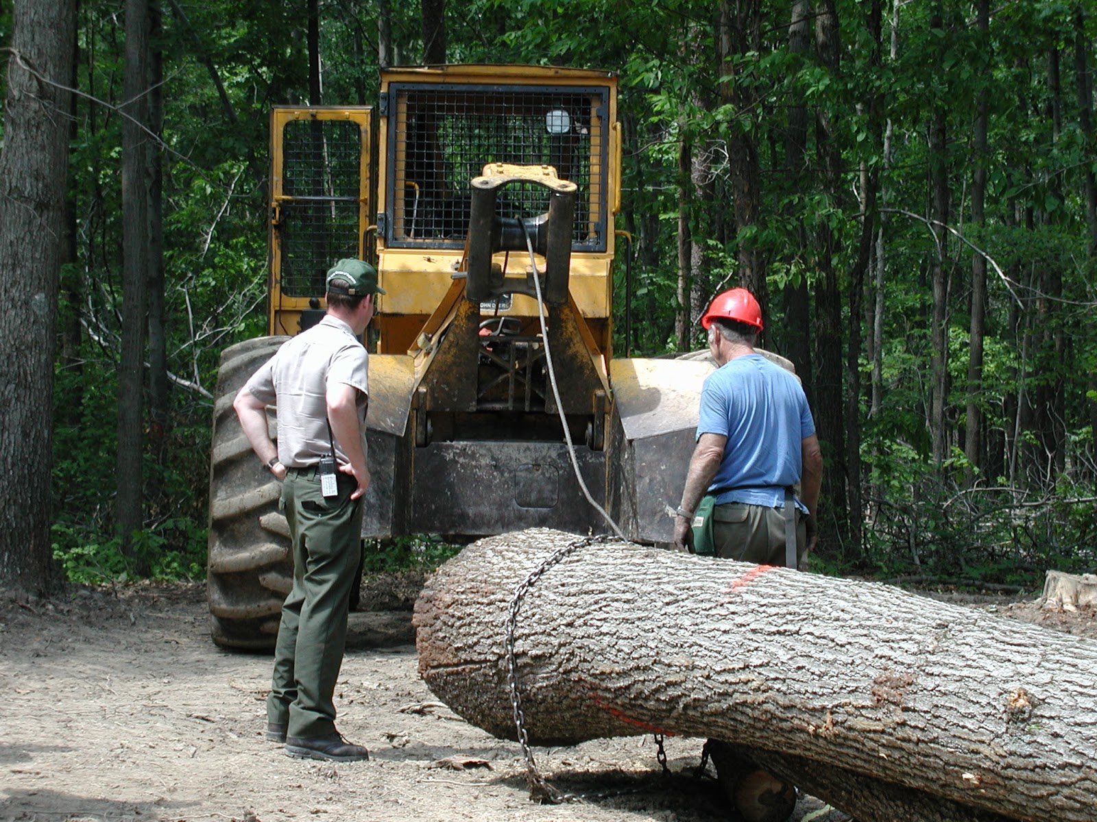 Central Pennsylvania Forestry: Timber theft Awareness