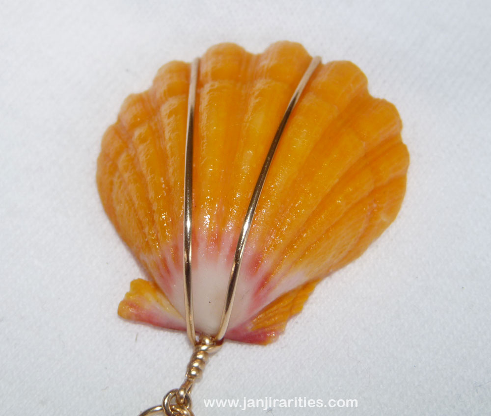 Kahelelani & Sunrise shell jewelry by.... Janjira: Sunrise & Moonrise ...