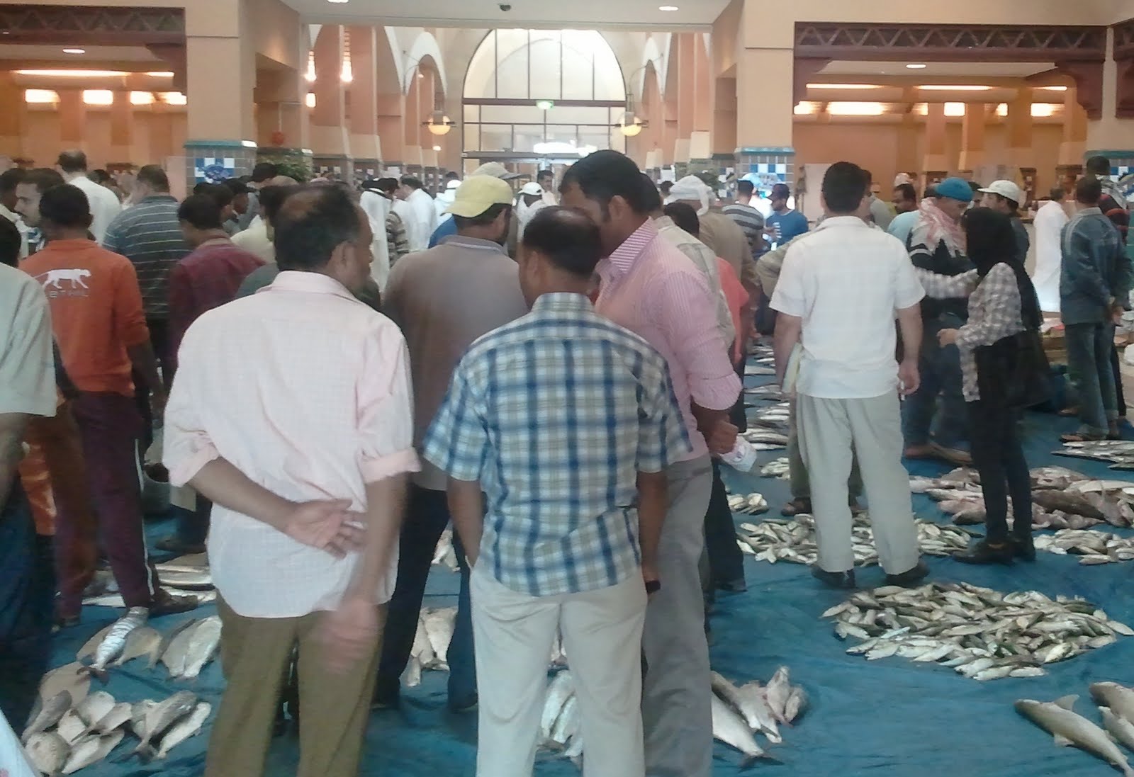 Travels, Experiences, and Opinions: 16APR Sat – Fish Market Kuwait