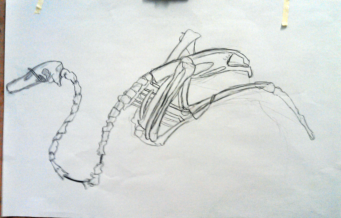 Artwork of Edmund Aubrey: Life Drawing 2 - Swans and Negative Space