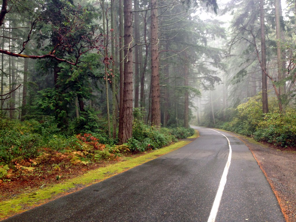 Pavement and Peaks: Snapshots: Point Defiance Park