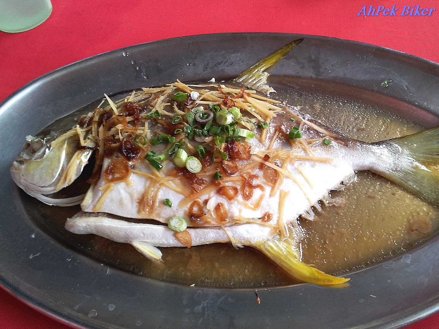 Footsteps - Jotaro's Travels: YummY! - Seafood @ Kia Hiong Yuen