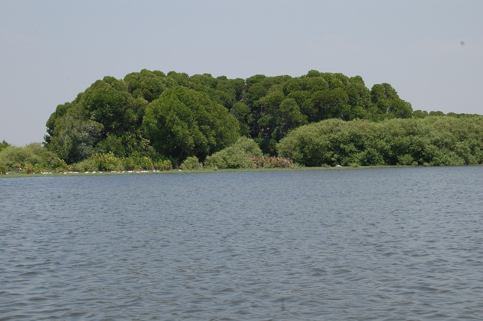 KANYAKUMARI ...A Must Visit Place Once in LIFETIME: Kanyakumari ...