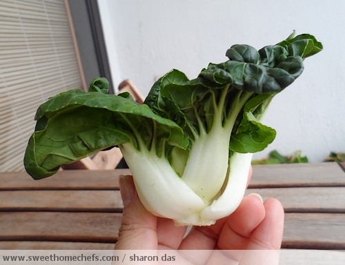 Sweet Home-Chefs: Nai Pak Choy (Extra Dwarf Chinese Cabbage)