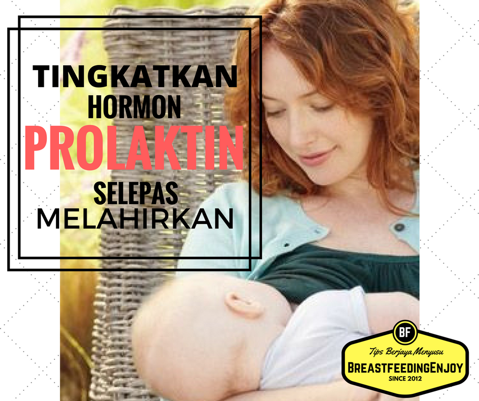 Tips Berjaya Menyusu : Tingkatkan Hormon Prolaktin Selepas Melahirkan ...