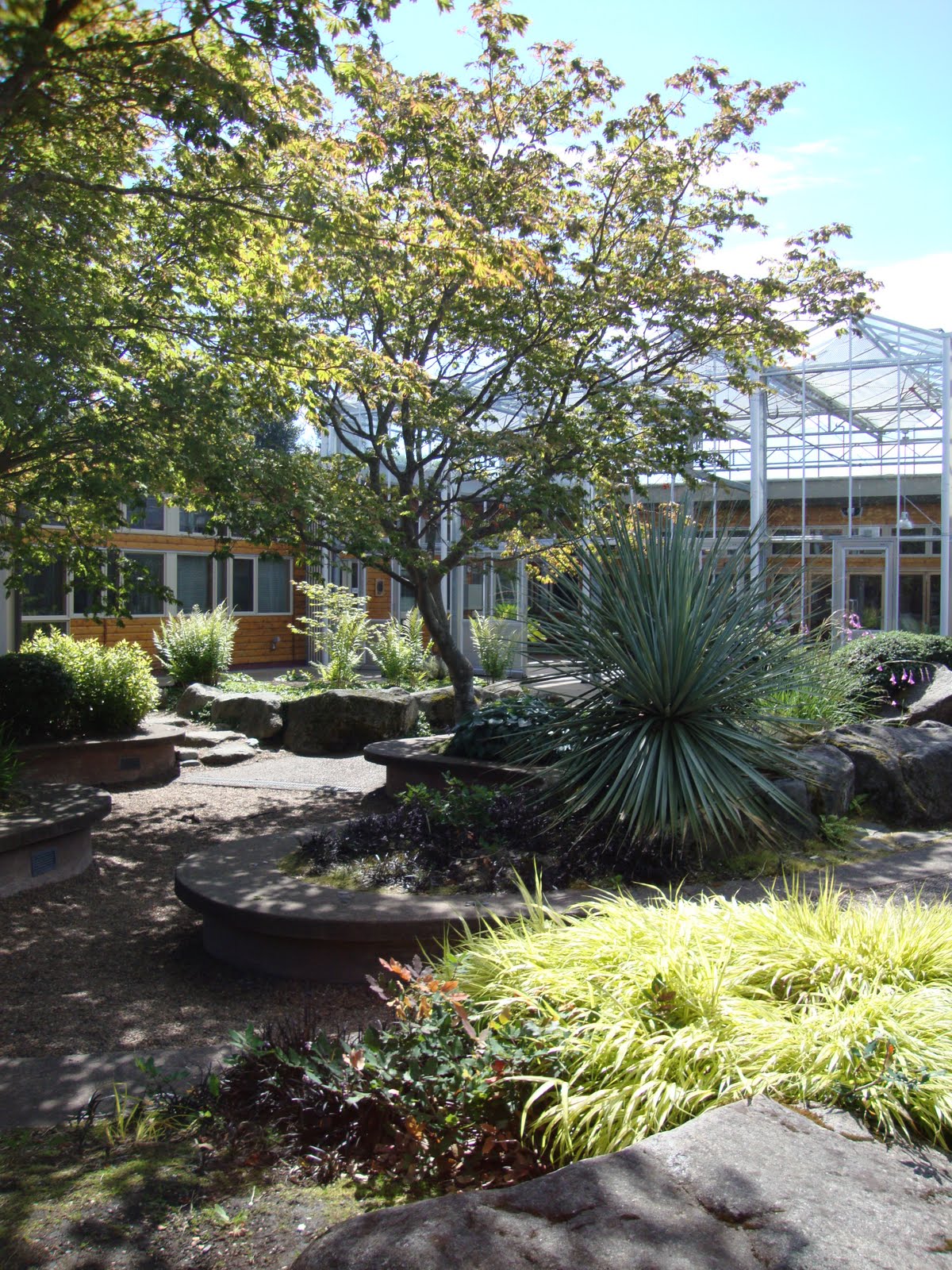 danger garden: Elisabeth C Miller Library at the UW Botanical Gardens