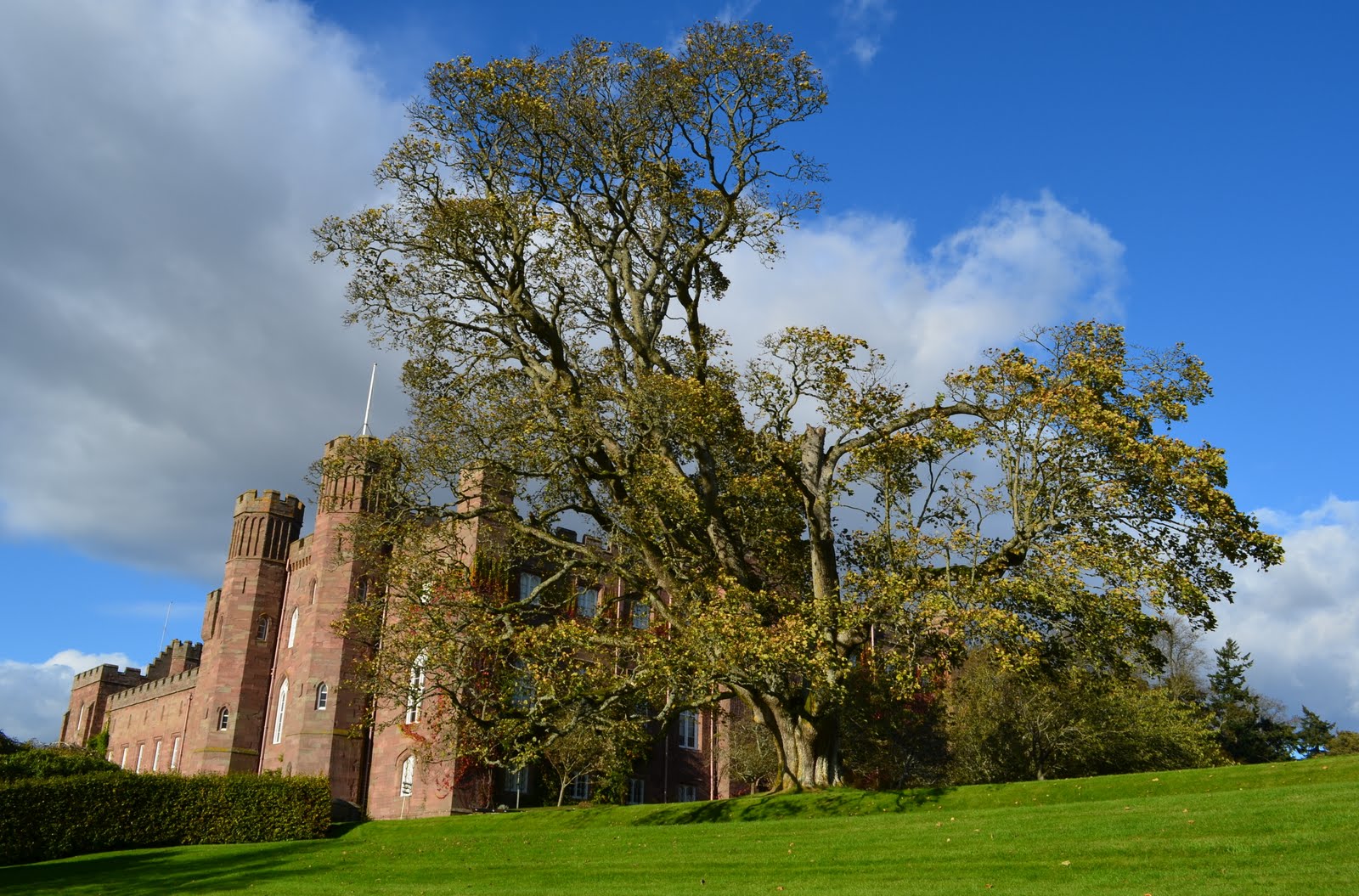 Tour Scotland: Tour Scotland Photographs Trees Scone Palace Perthshire ...